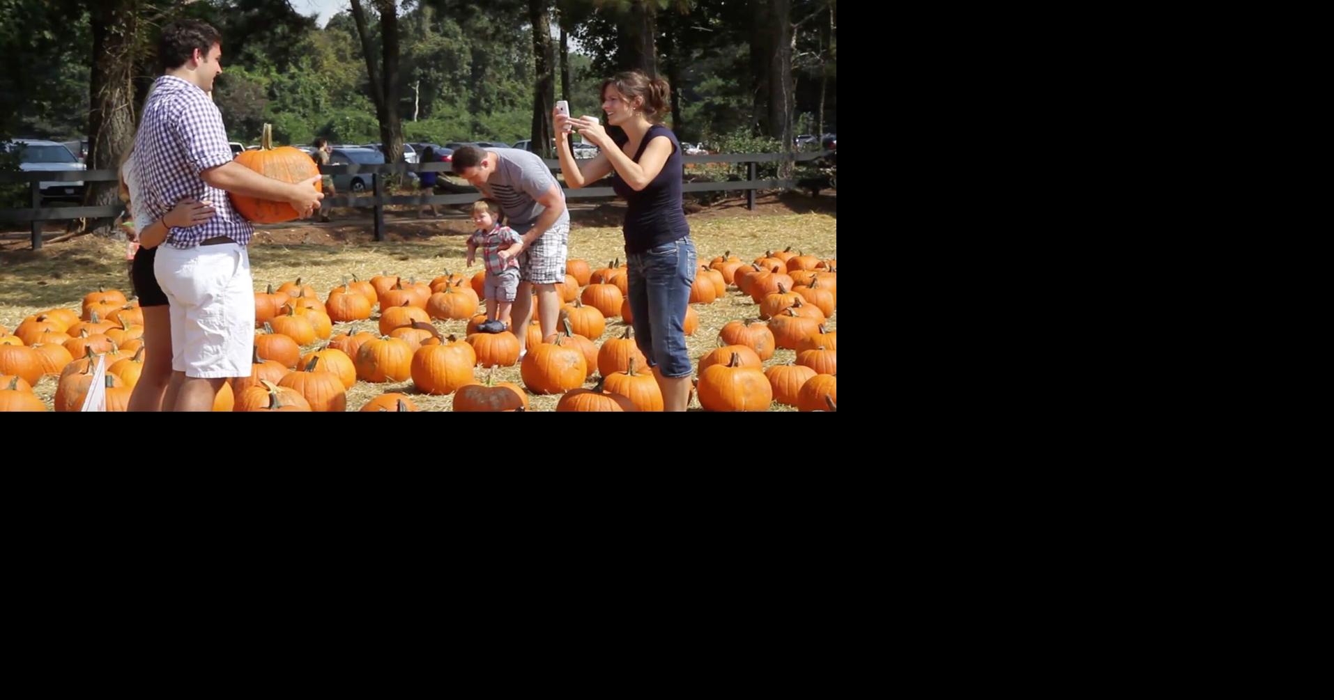 Boone Hall Pumpkin Patch earns top honors
