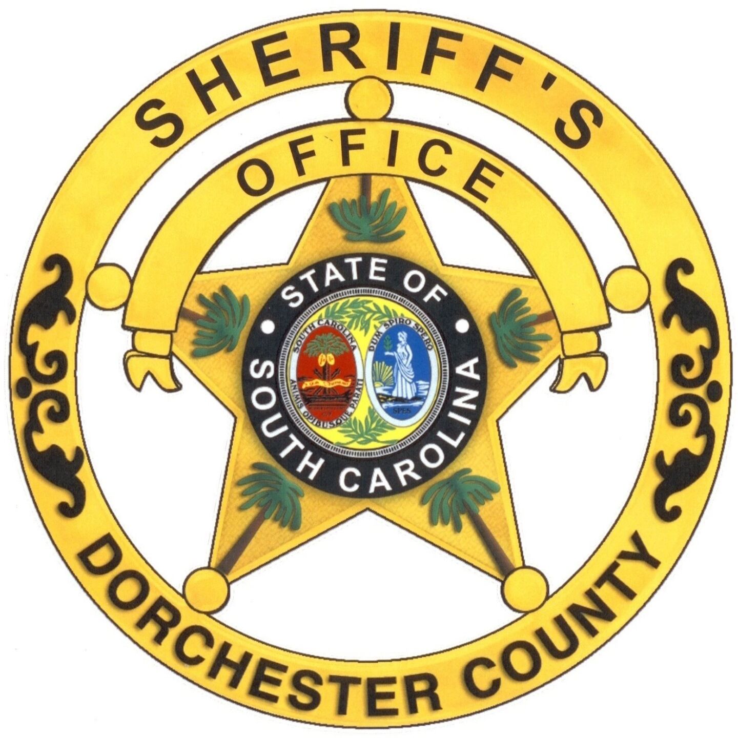 Dorchester deputies arrest Summerville man after pursuit