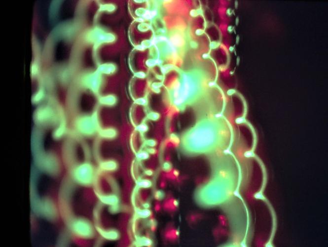 Reader photos: Abstract