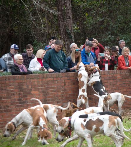 Blessing of the Hounds welcomes public again for Thanksgiving Day ceremony