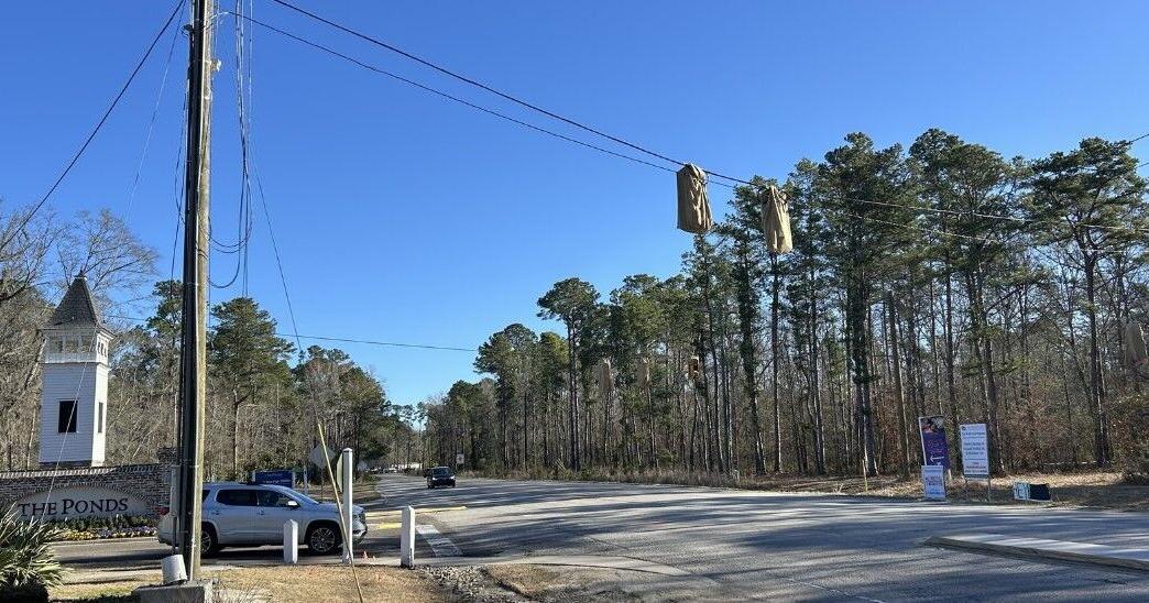 Temporary traffic signal installed at US 17A and Village Ponds Drive