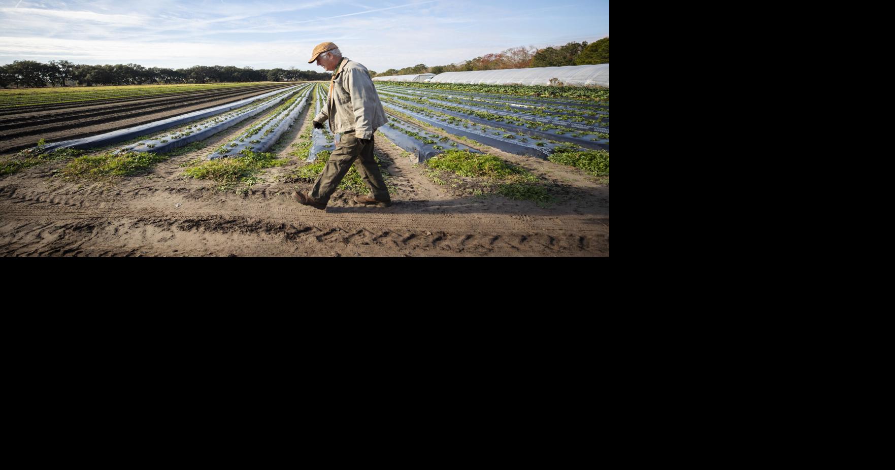 SC lawmakers should pass bill to protect working garms | Editorials ...