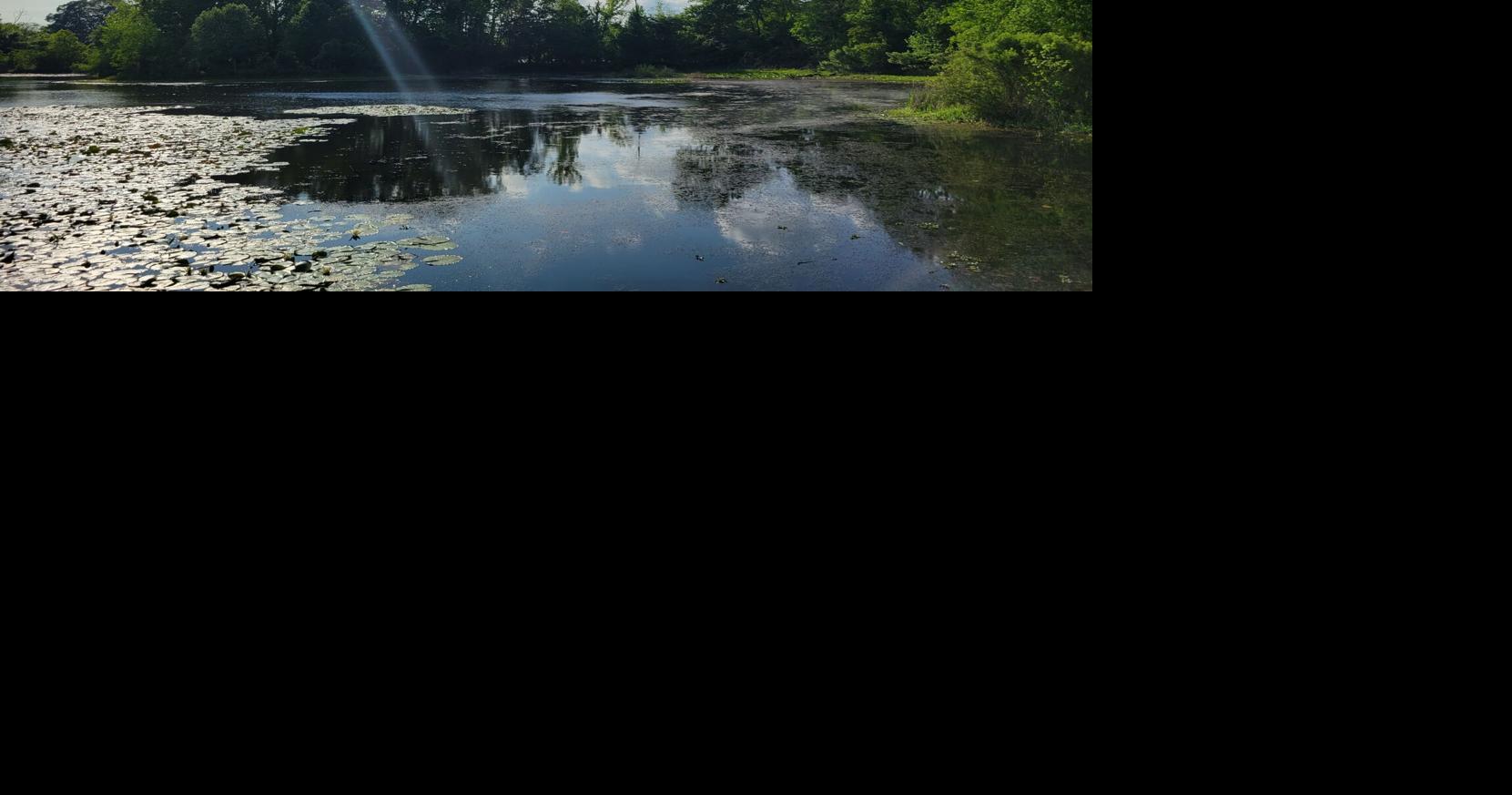 North Augusta will prohibit fishing at Brick Pond Park