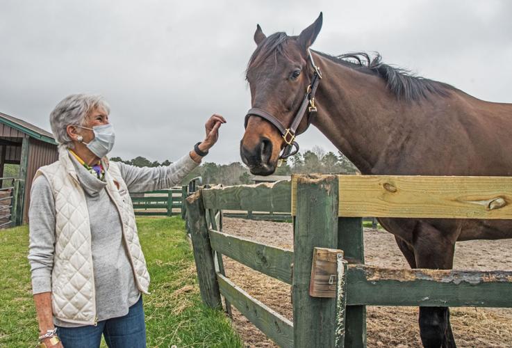 Last horse to race for Dogwood Stable has a new home at Equine Rescue ...