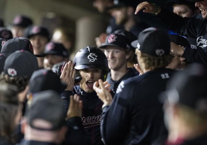 Photos: South Carolina and The Citadel bout at Joe Riley Park
