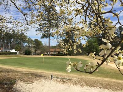 Area golf courses offer specials during Masters Week | News ...