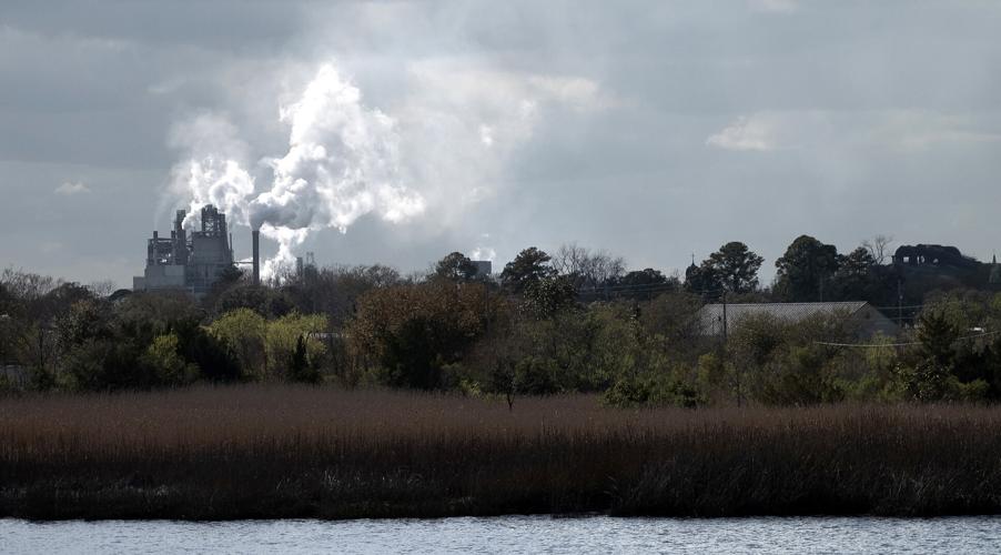 New Georgetown group pushing for biomass plant and industry