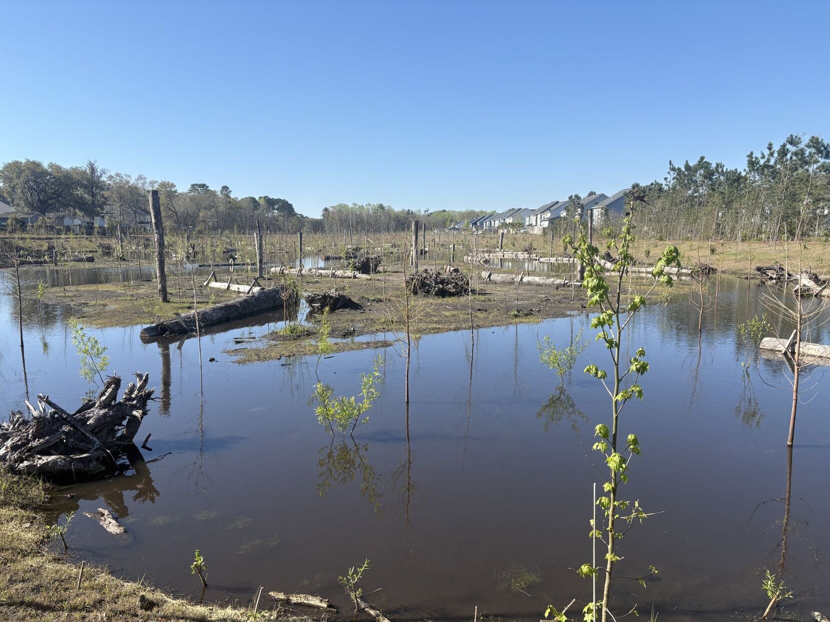 Green solutions for Charleston in era of climate change