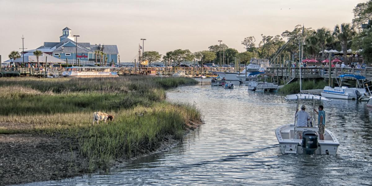 Murrells Inlet MarshWalk : A mecca of family-friendly activities and ...