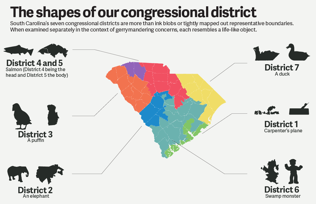 Did kindergartners draw SC's seven congressional district seats?