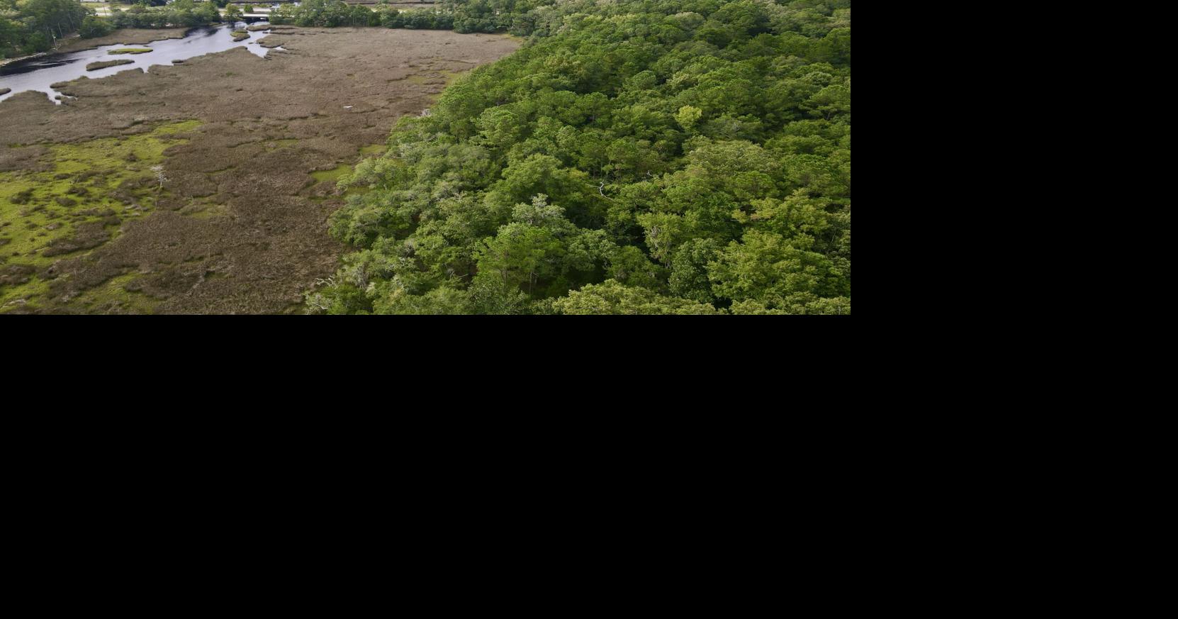 Charleston County's Caw Caw Center adds additional 35 acres