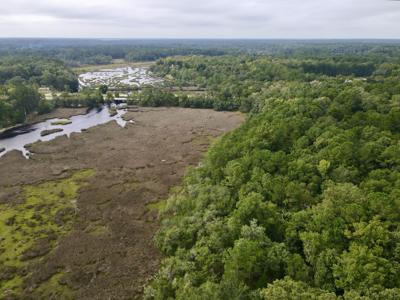 Charleston County's Caw Caw Center adds additional 35 acres