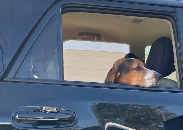 Reader photo pick of the week: Still Life