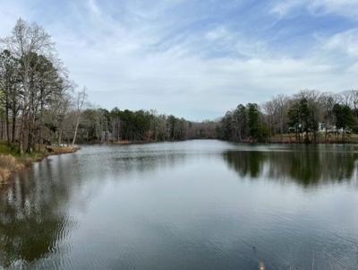 Spartanburg's Duncan Park celebrating 100 years set for redevelopment