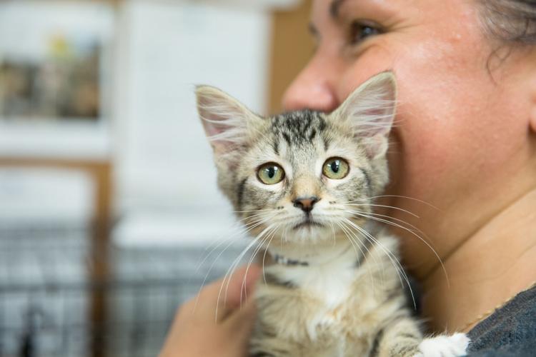 ANIMAL CONNECTION: SPCA Albrecht Center for Animal Welfare joins 'Pick ...