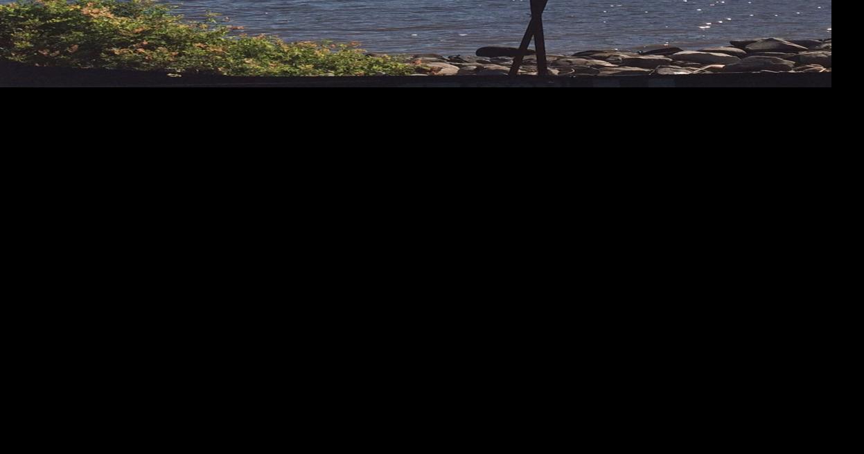 Wando River Bridge open to traffic