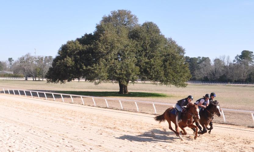 Aiken Training Track surviving, making plans for future during pandemic