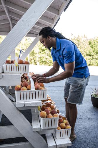 Here's what SC chef ambassadors do throughout year, including upcoming ...