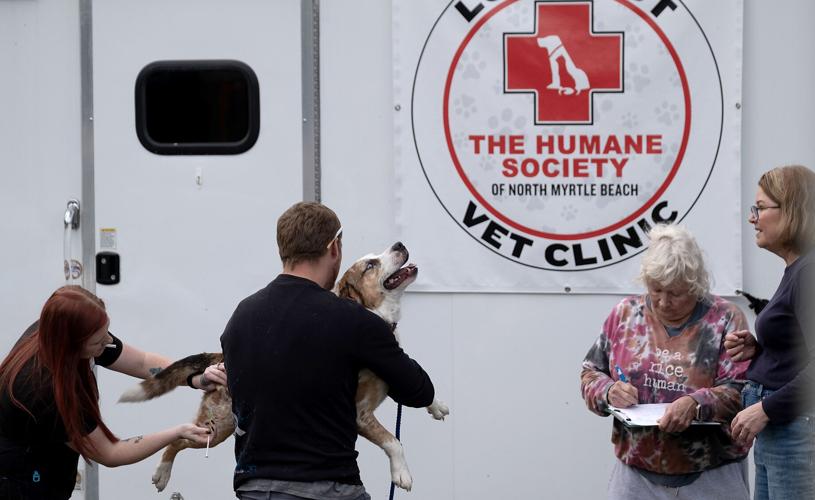 Operation Pit Bull Snip is a free neuter and spay program