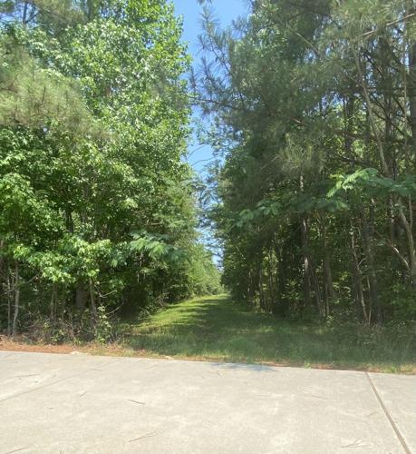 Swamp Rabbit Trail's lagging Laurens Road progress questioned by ...