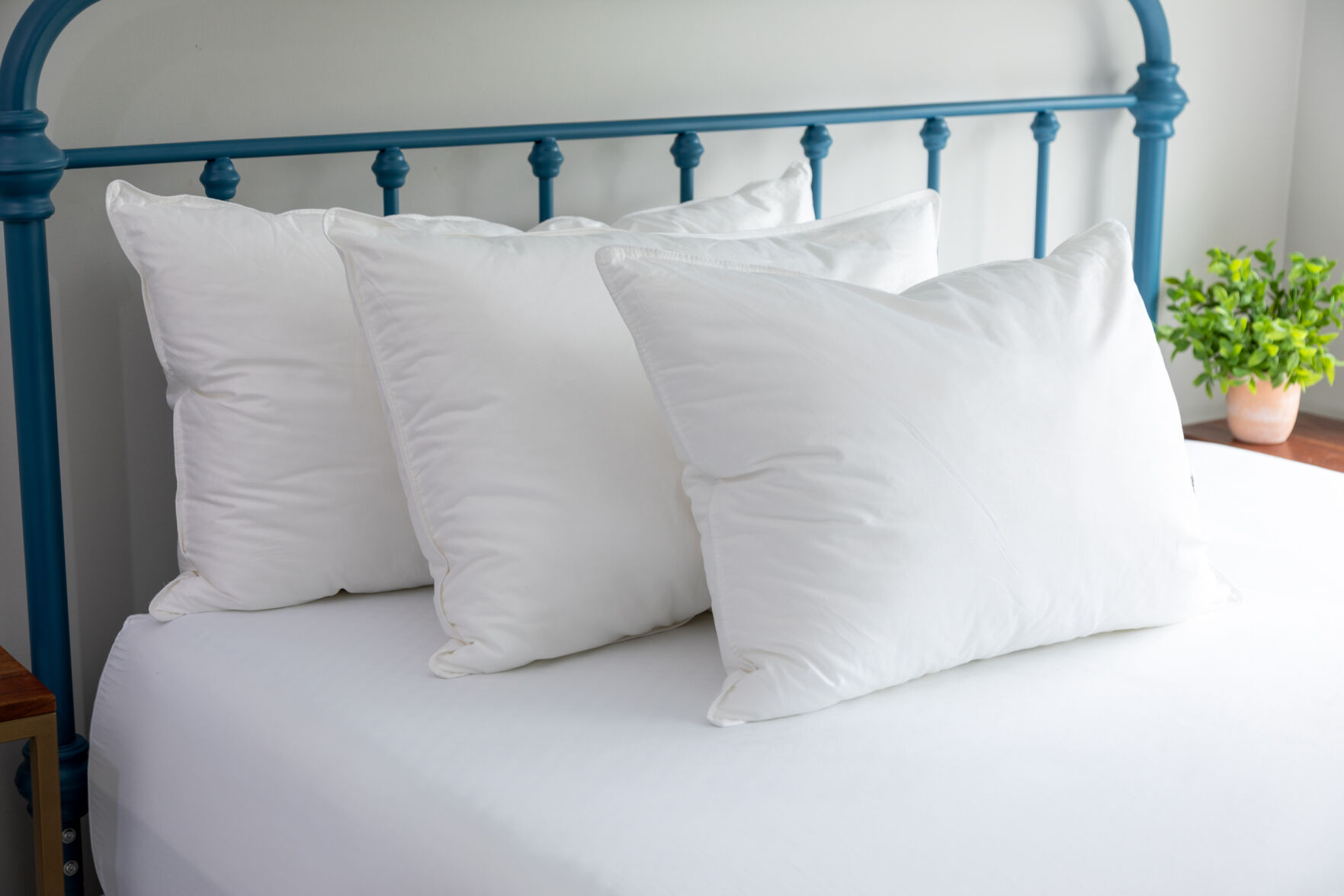 Harris Pillow Supply made luxury pillows in SC for decades