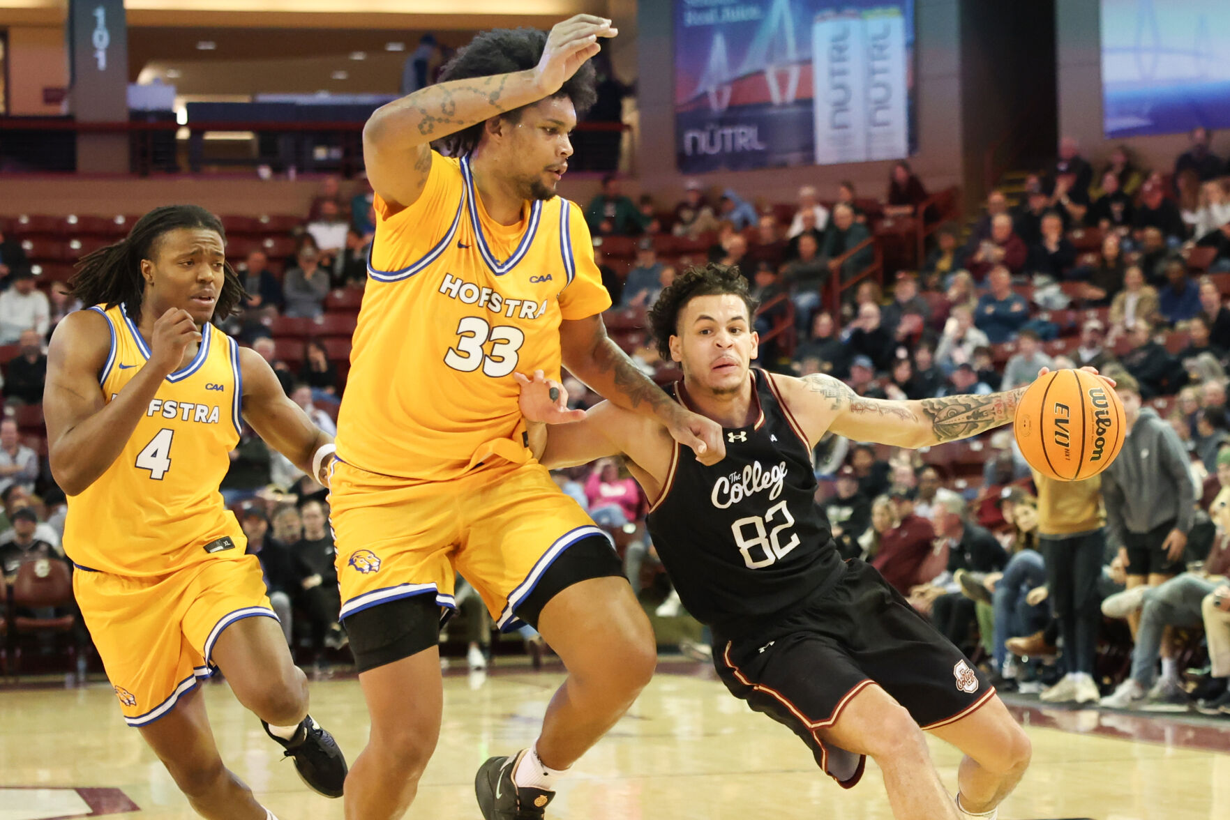 College of Charleston rebounds with win against Hofstra