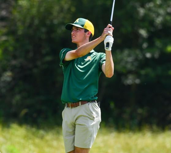 Jackets, Neal win Class AAAA boys' golf titles
