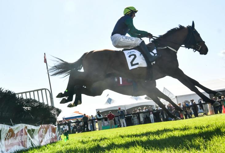 Aiken Spring Steeplechase fun for horse lovers, socializers