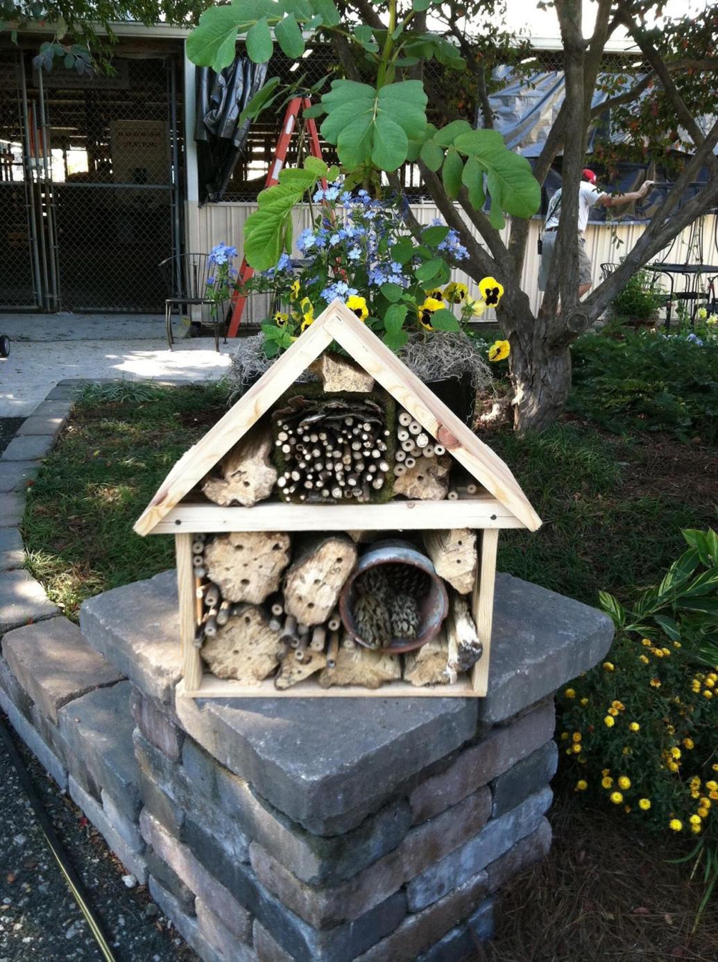 Creating nests for native bees