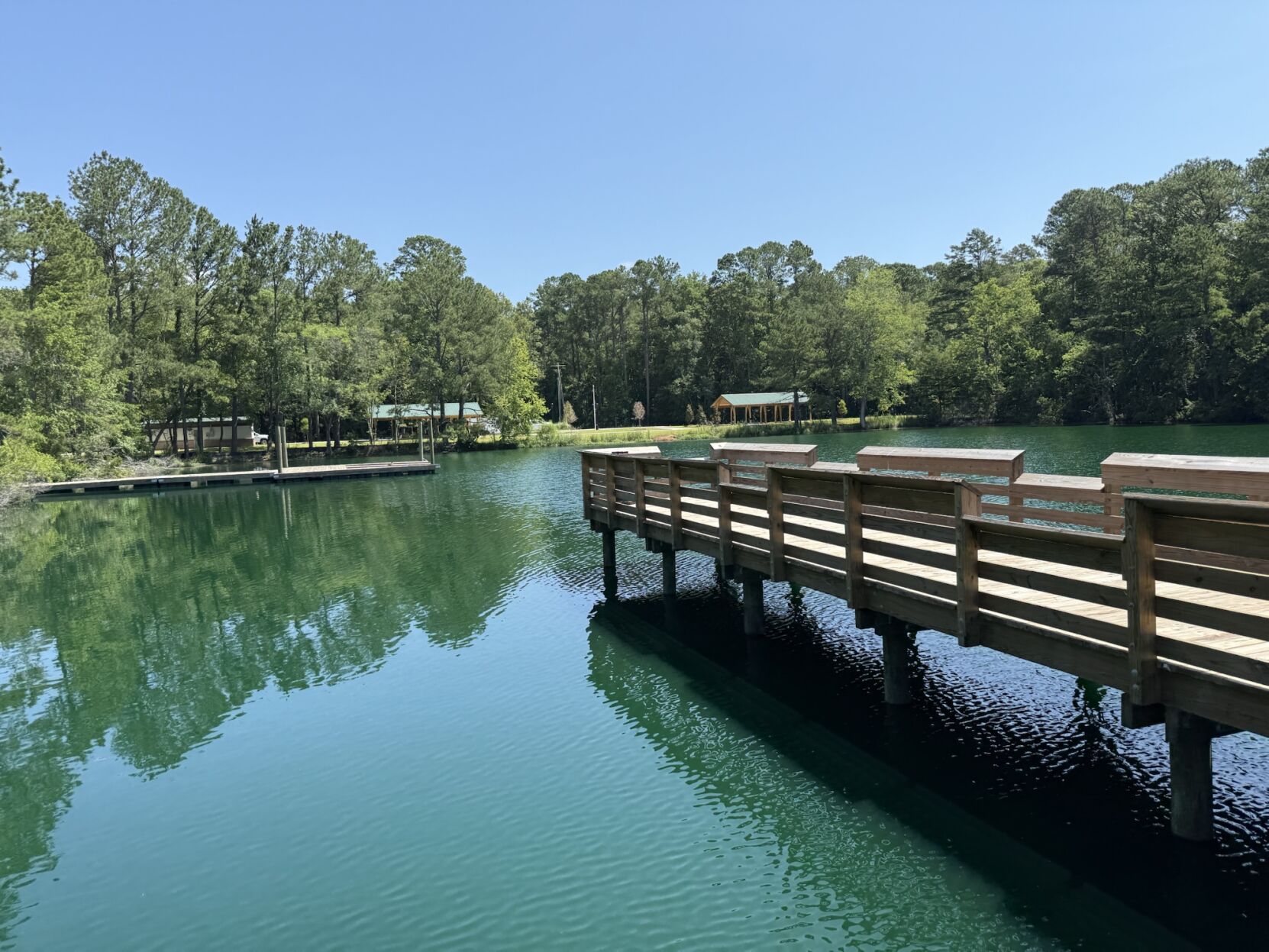 Pine Trace Park in Summerville opens with disc golf course