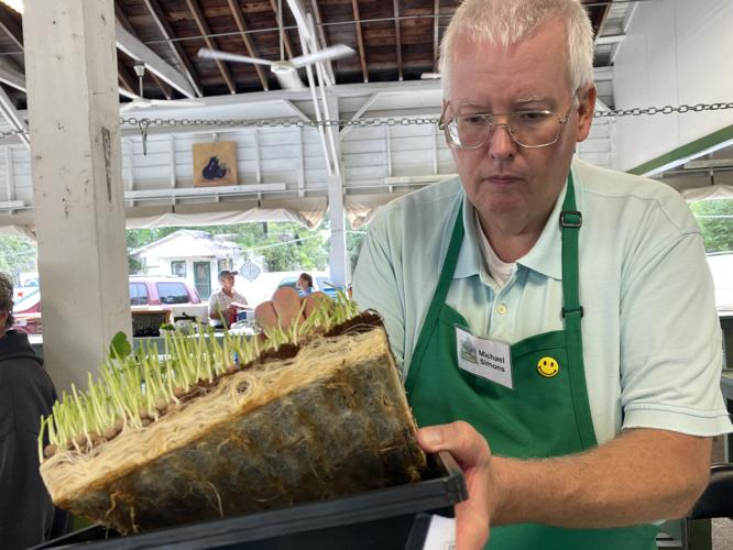 NKBJ Microgreens is a small plant business that offers health benefits ...