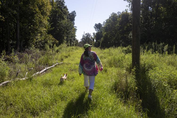 Photos: Butterflies and life abound at the Filbin Creek Nature Trail