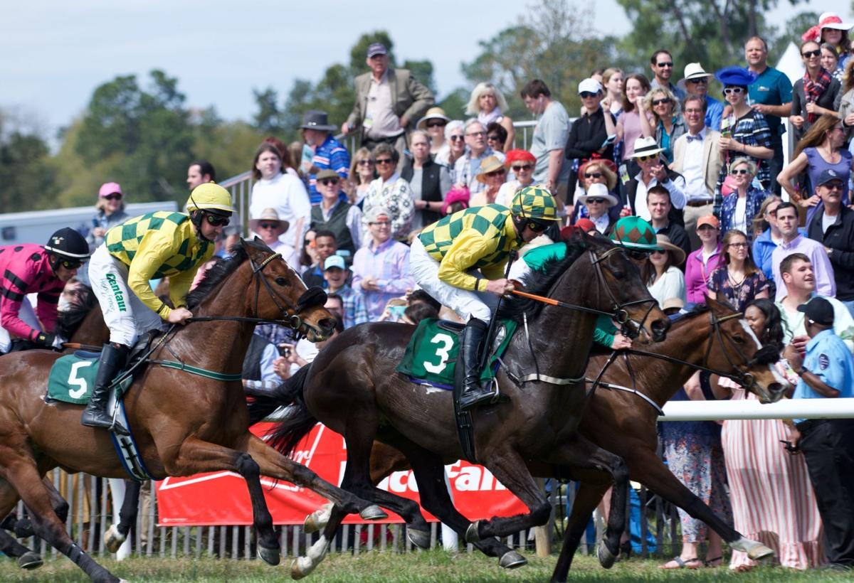 Aiken Spring Steeplechase a hub for tradition, camaraderie, fashion ...