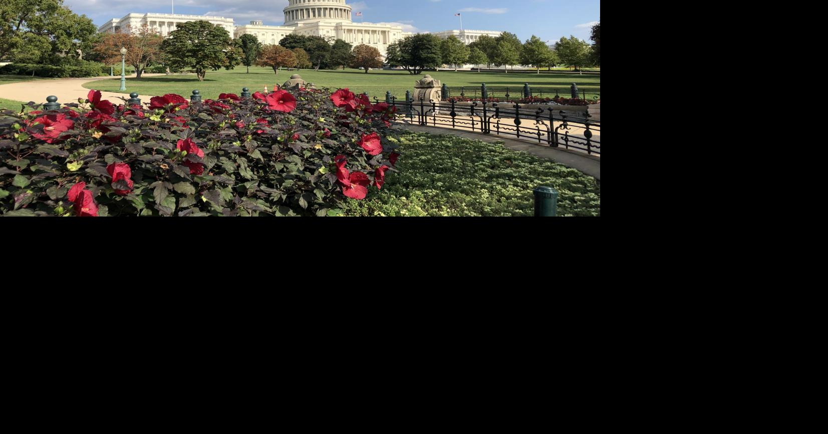 New defense bill backs plutonium pit production