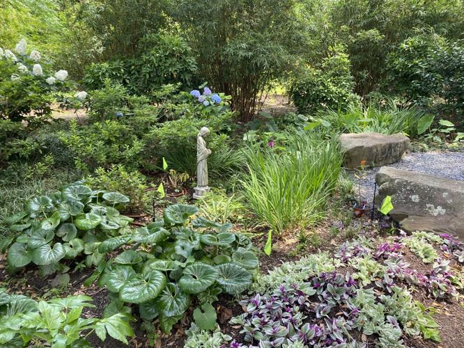 Gardens and nature in medical settings do more than please the eye