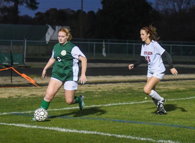 Area high school soccer players earn All-State, All-Star recognition