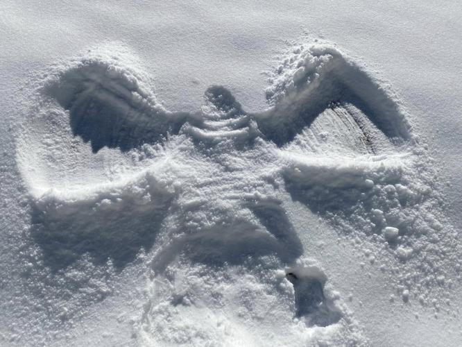 Historic snow blankets Williamsburg County