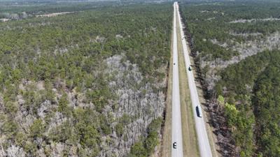 McClellanville conservation easements protect 1,440 acres