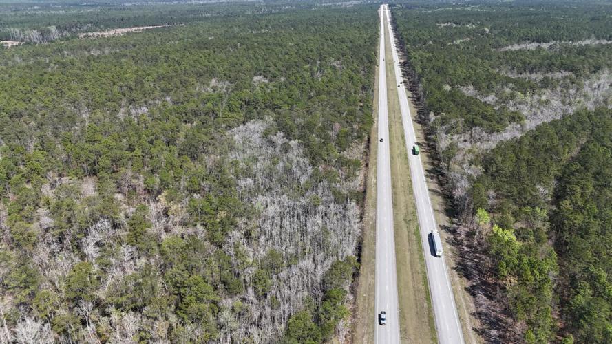McClellanville conservation easements protect 1,440 acres