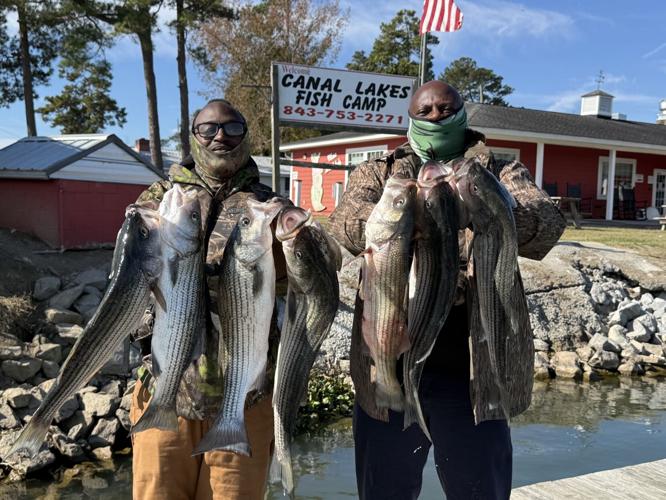 Catfish, striped bass combo fishing on Lake Moultrie