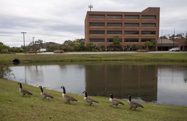 North Charleston to sell old City Hall building to Roper for hospital ...