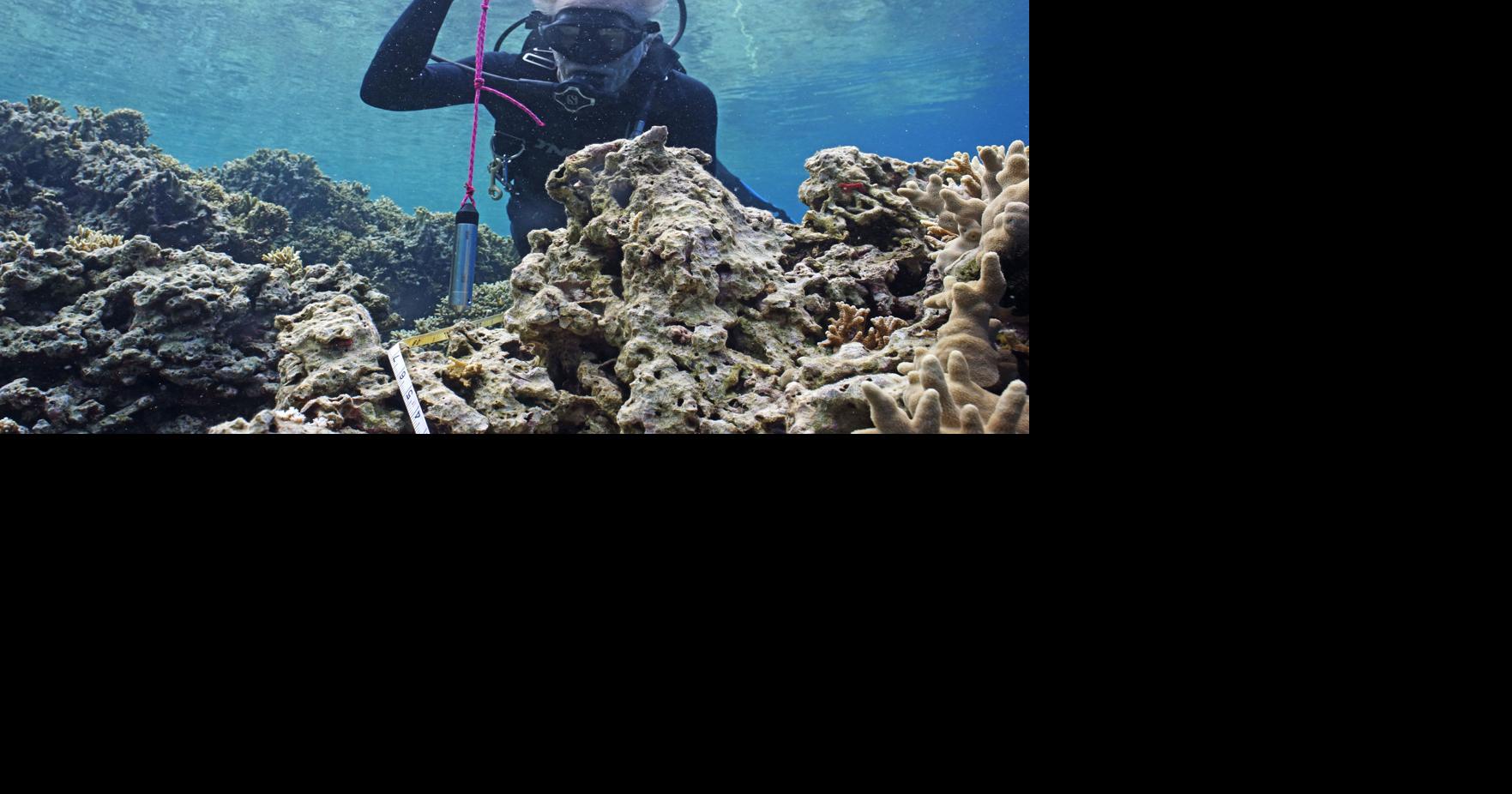 College of Charleston professor featured in Netflix documentary about ...