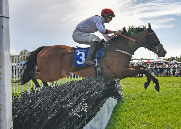 Front-running The Insider captures the Conceal Imperial Cup during the ...