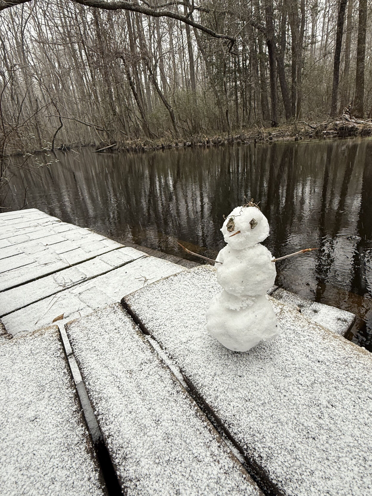 Snow days: Aiken area residents enjoy the snow