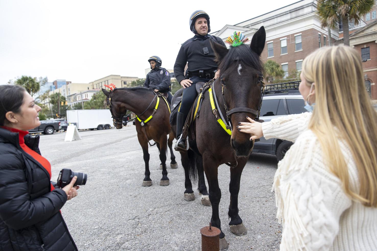 Two horses to join Charleston police's mounted patrol unit