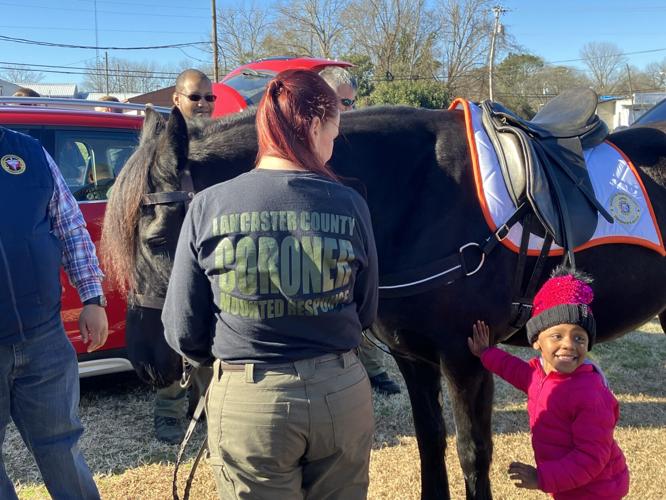 Nation's first coroner horse unit launches in Lancaster