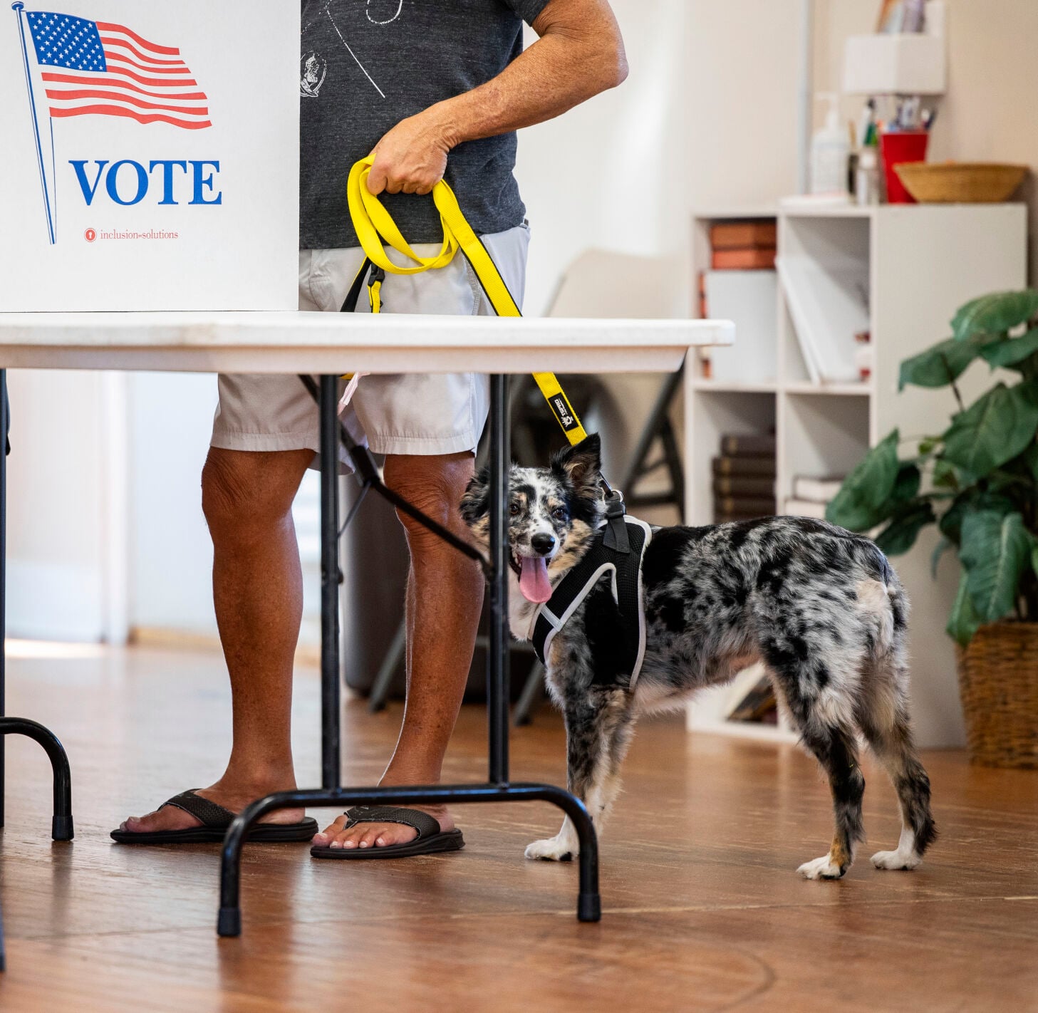 What SC voters need to know before heading to the polls