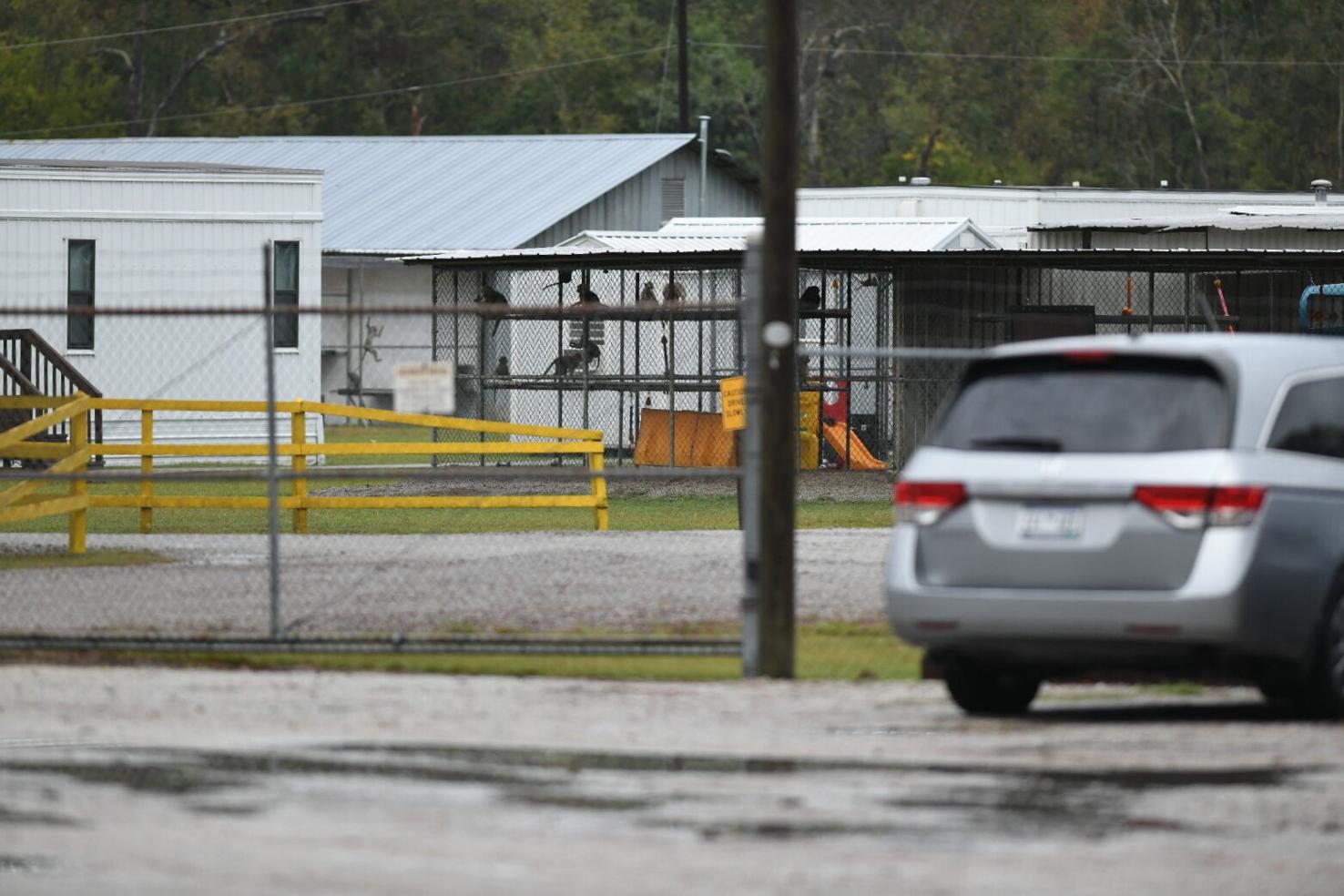 Monkeys again escape from South Carolina breeding farm