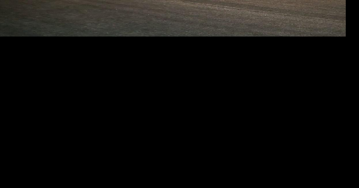 Plane damaged after Union pilot hits deer on runway