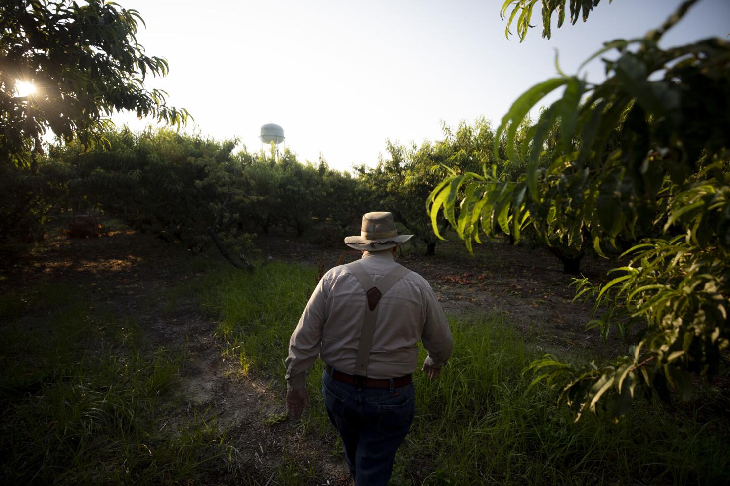 The history of McBee's long fight for water and power